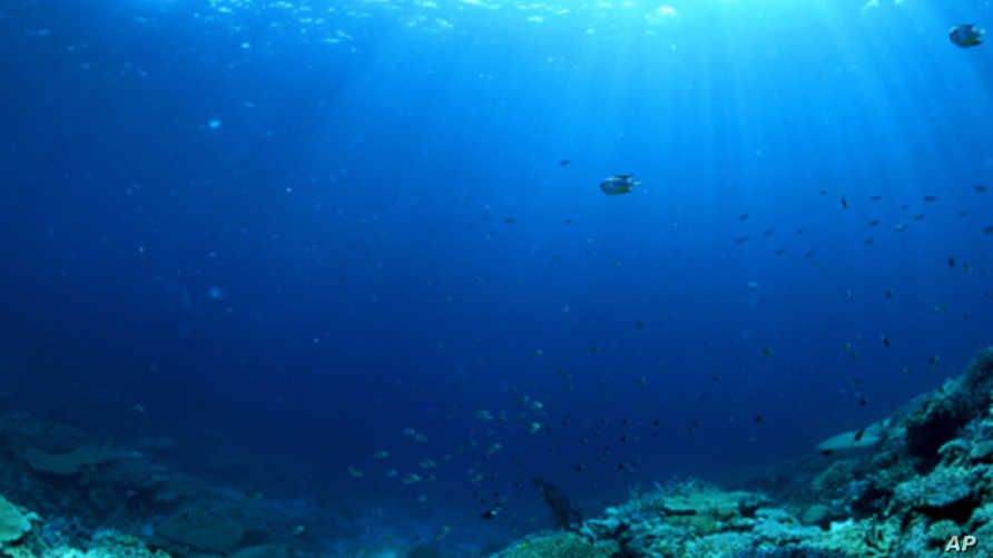 deep ocean view | Marine Cruise